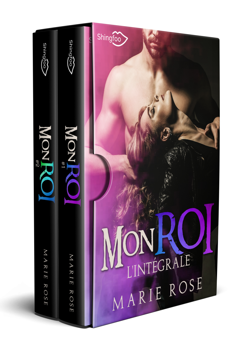 Intégrales - Shingfoo