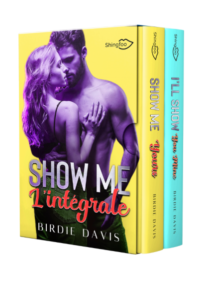 Intégrales - Shingfoo