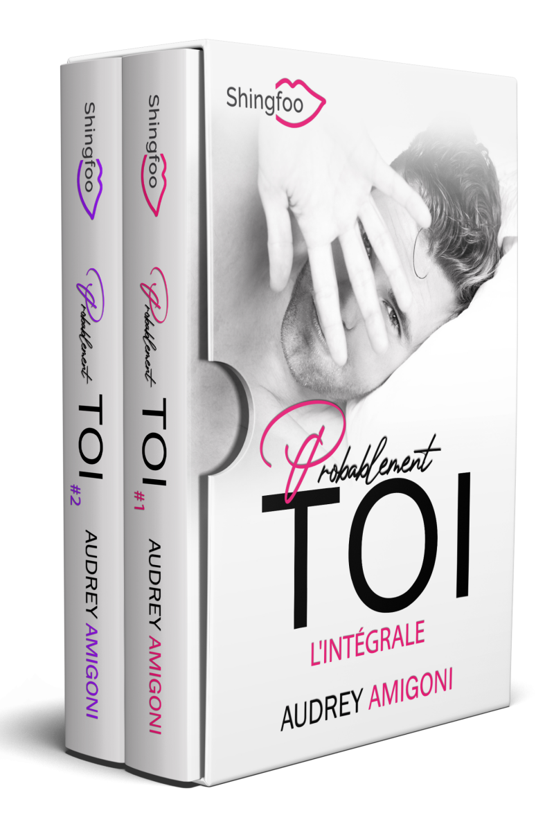 Intégrales - Shingfoo