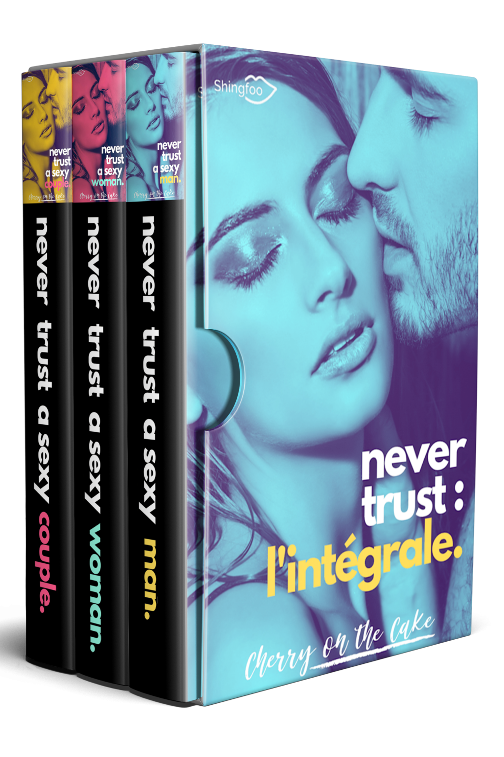 Intégrales - Shingfoo